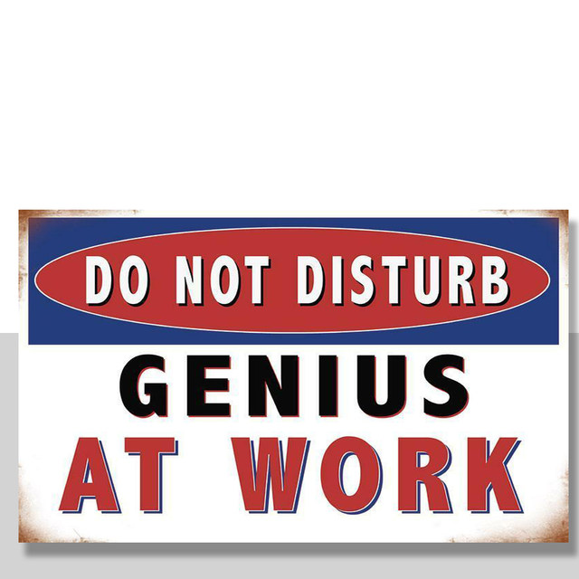 Do Not Disturb Genius At Work