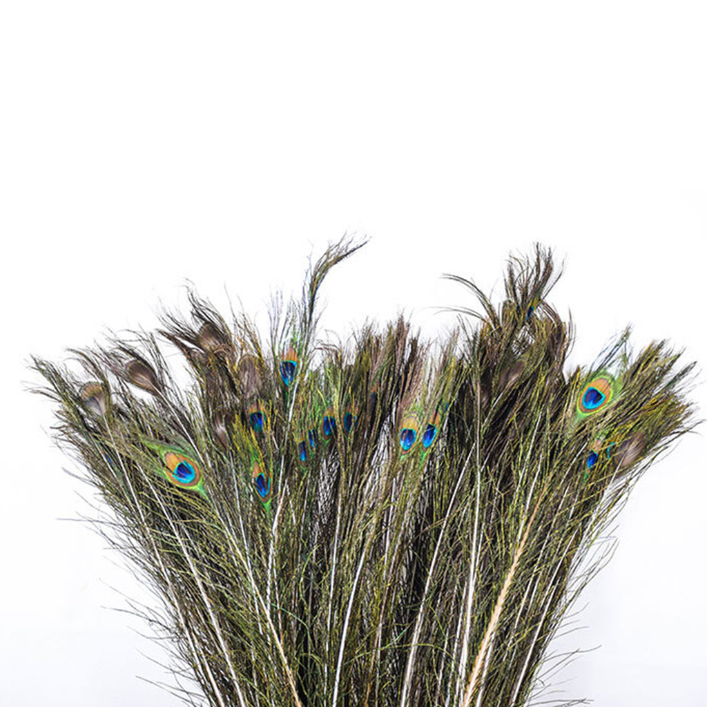 PLUME DE DECORATION,As Shown--Plumes de paon naturelles, lot de 10 ...