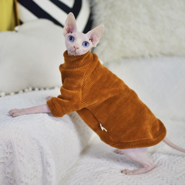 Cat Costume Sphinx Hairless Cat Clothes Sphynx Devon Rex Hairless Cat ...