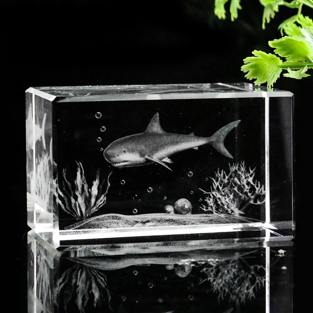 Etched Acrylic Aquarium Acrylic Laser Cutter: The Basics You Need To