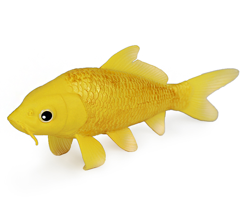 HJKHJ 01 - Modèle de figurine d'animaux marins pour enfants, Poisson ...
