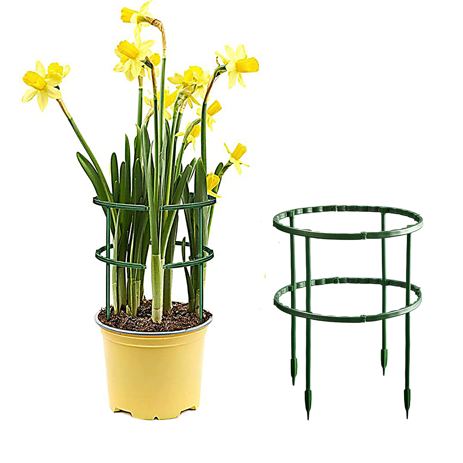 Tuteur Plante,Cadre de Support de plantation,tige de fixation,piquets ...