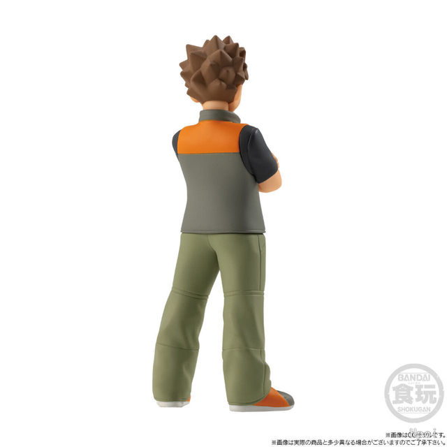 Pokemon Brock Dp