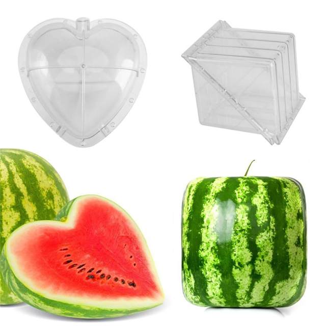 Square Watermelon Molds