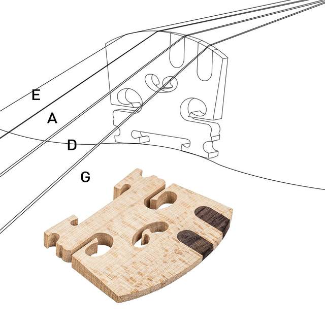 Violin Bridge Drawing