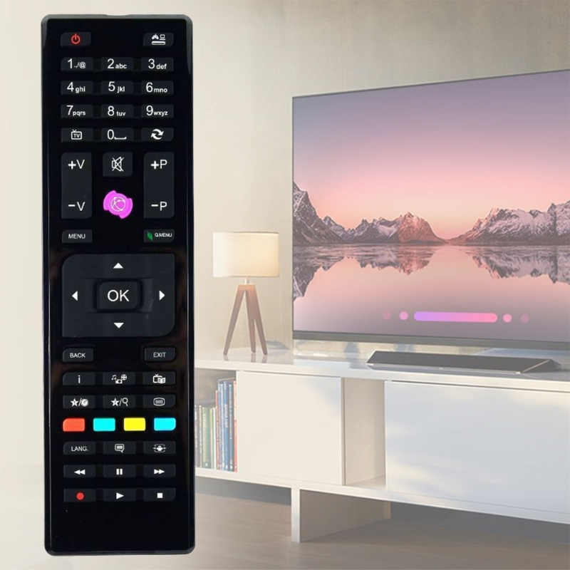 Télécommande TV universelle RC4875, Pour TECHWOOD T3EB - Cdiscount TV ...