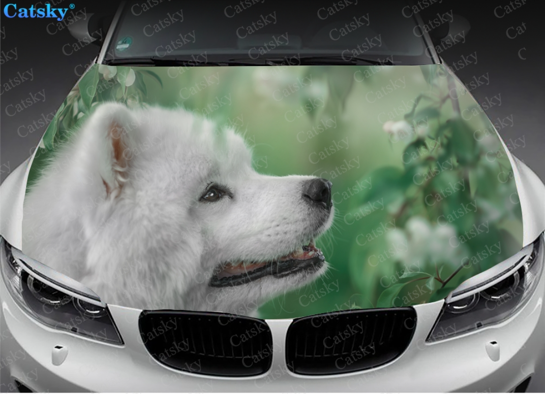 Samoyed Car Hood Vinyl Sticker - giftclubstore