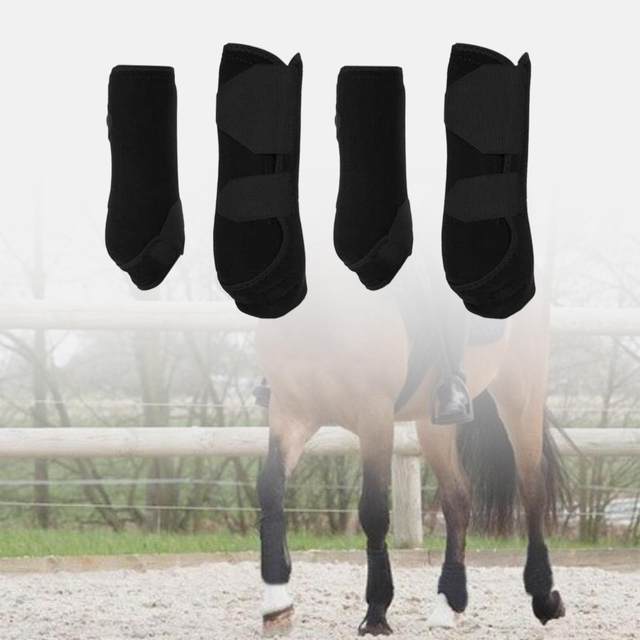 Pernas De Cavalo Um Cavalo De Pernas Curtas Com Pêlo Branco, Cauda
