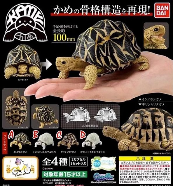 BANDAI Original Japan Gashapon Action Figure Cute Turtle Deformation Series Simulation Animal Indian Star Tortoise Toys AliExpress