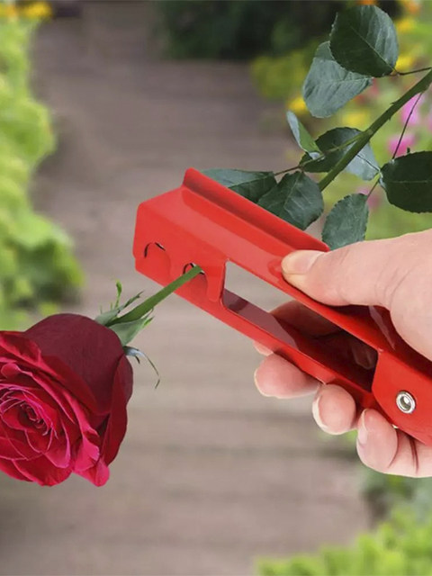 Rose And Flower Care 3Pcs Floris TThorn Remover Metal Flower Rose Cut ...