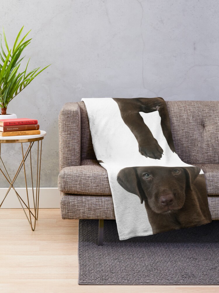 Chocolate Labrador Blanket - Classic Shop