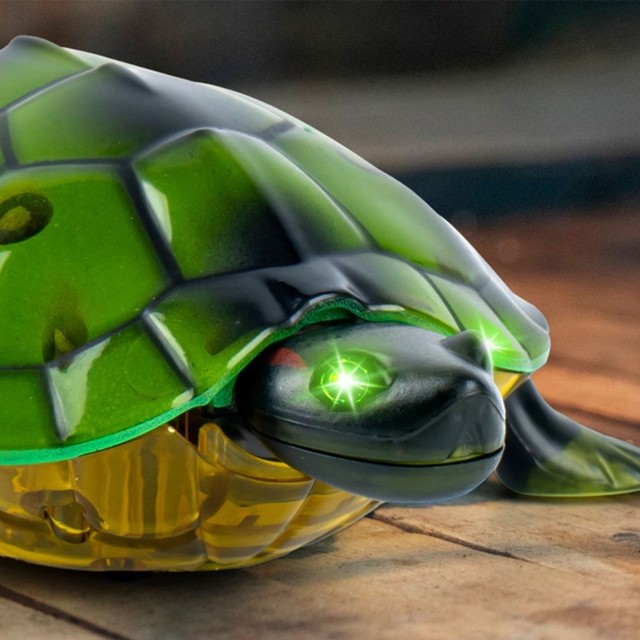 Flying Turtle Toy