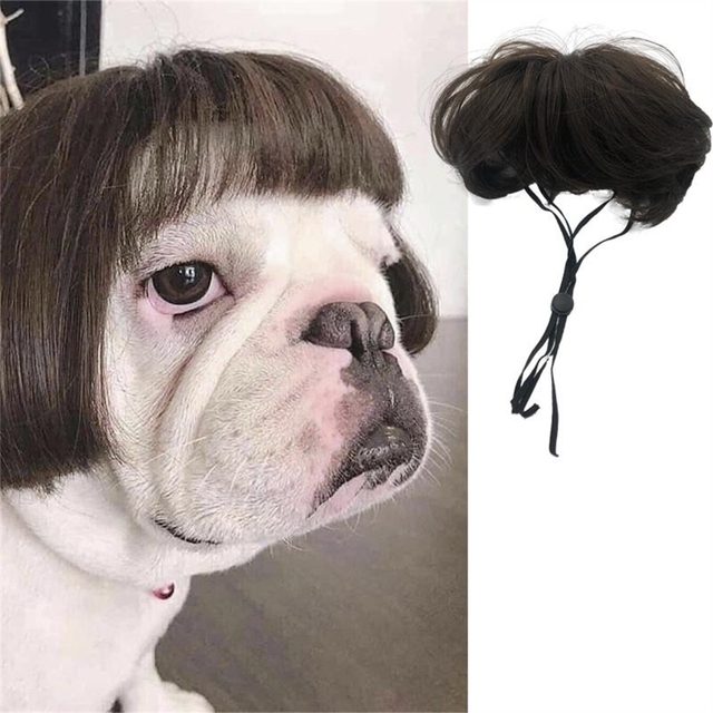 Meme De Peruca #bom Dia Flor Do Dia 🌻 , #força Na #peruca