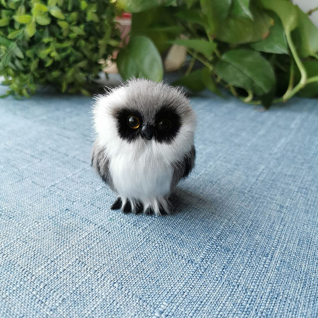 Fluffy Baby Owl