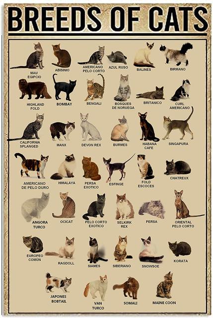 Cat Breeds Chart