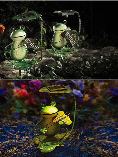 Frog Wedding Lighting